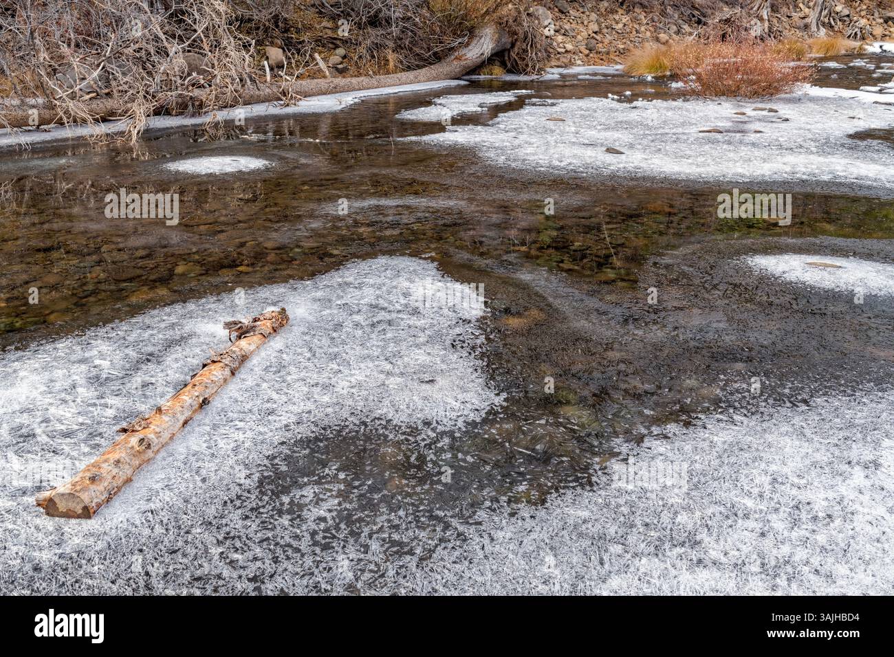 A log is frozen in the ice of the Little Truckee River, California, USA ...