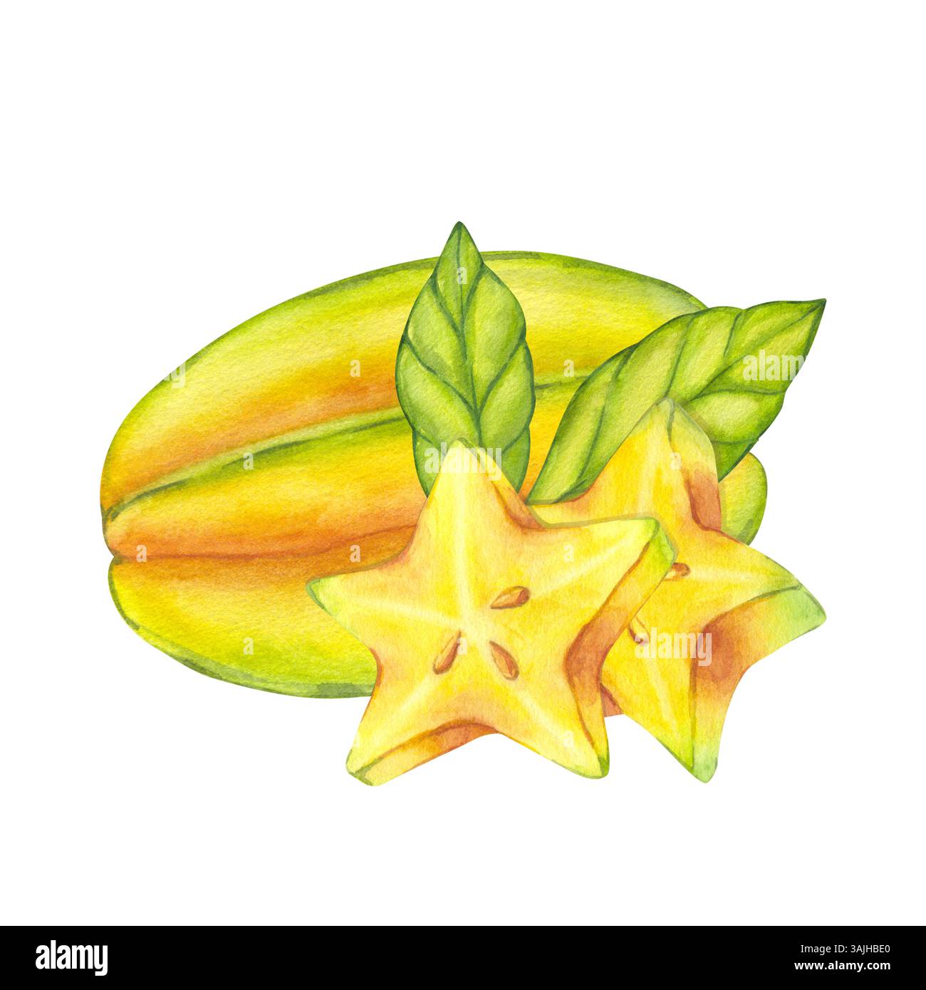 Watercolor starfruit. Averrhoa carambola or Bilimbi. Whole yellow fruit ...