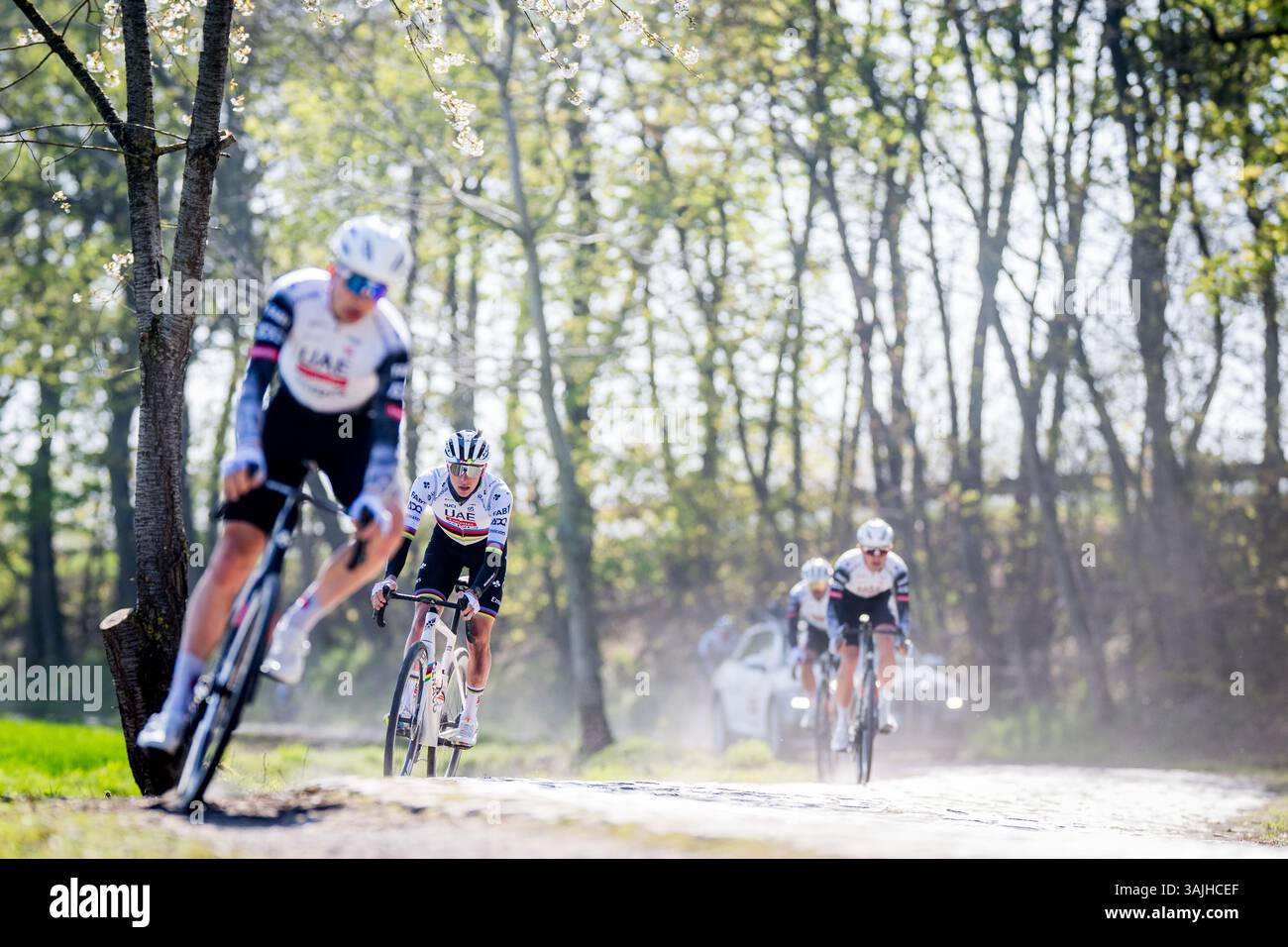 Slovenian Tadej Pogacar of UAE Team Emirates pictured in action during ...