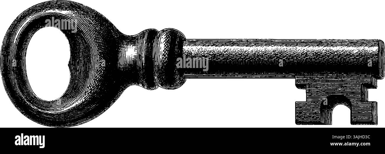 Skeleton illustration vintage hi-res stock photography and images - Alamy