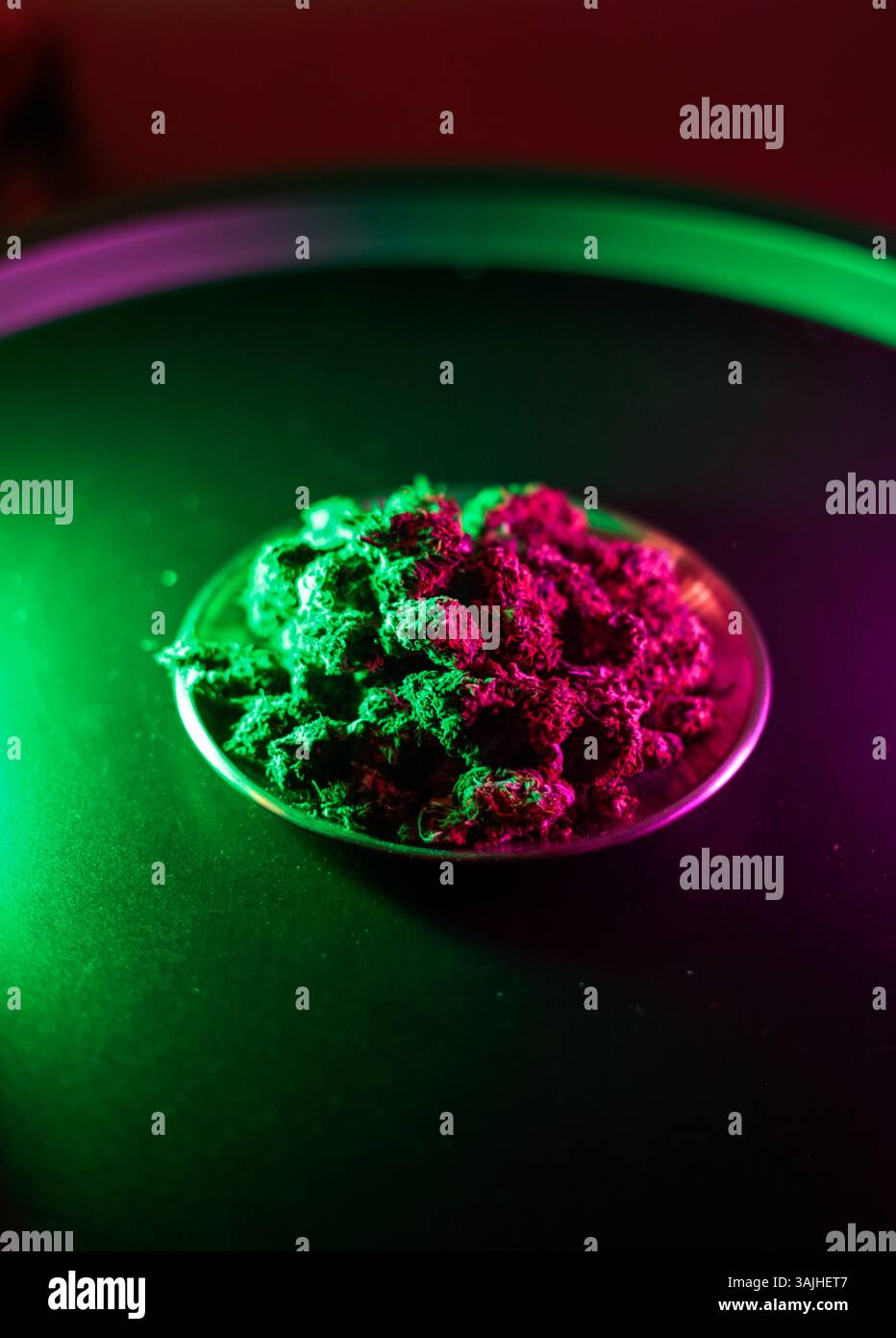 Psychedelic Cannabis under Neon Lights Stock Photo - Alamy