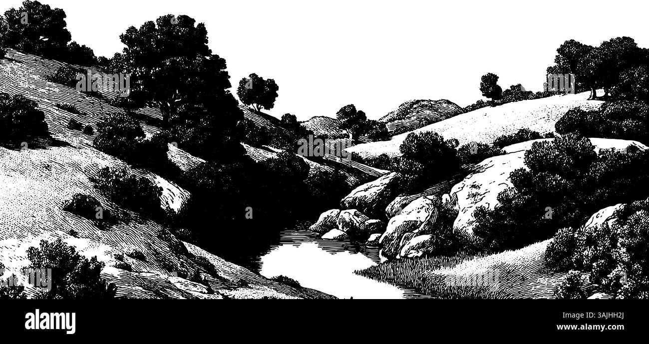 Engraved landscape illustration with trees and river in black bold ...