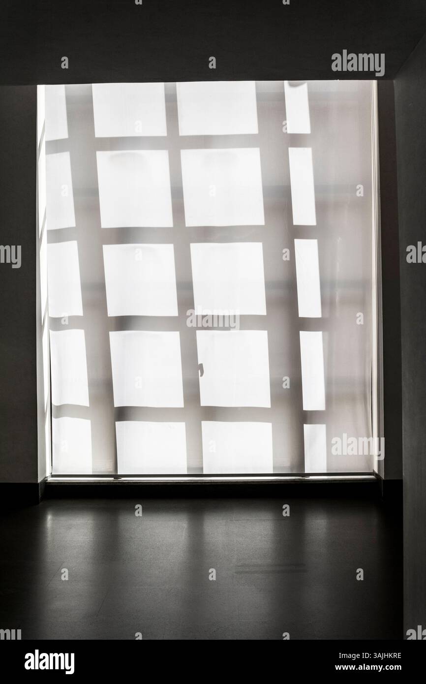 Shadows of a window frame with squares on a white space reflected in ...