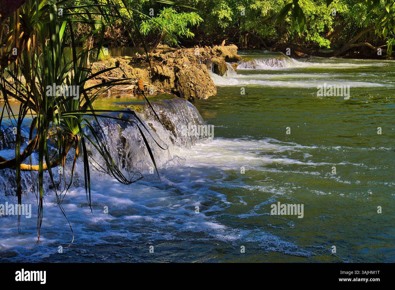 Cascade in dense tropical rainforest: Mataranka Falls in the Roper ...