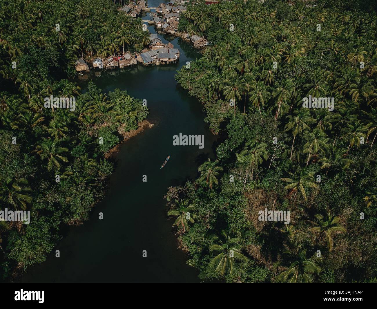 Aerial view of a tranquil river weaving through lush tropical ...