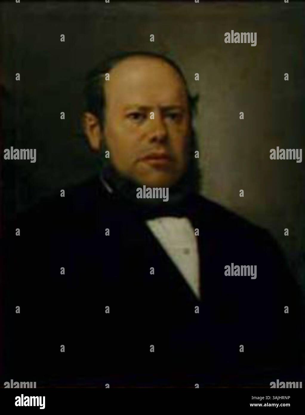 Portrait of Manuel José Ribeiro, father of Ernesto Rodolfo Hinzte ...