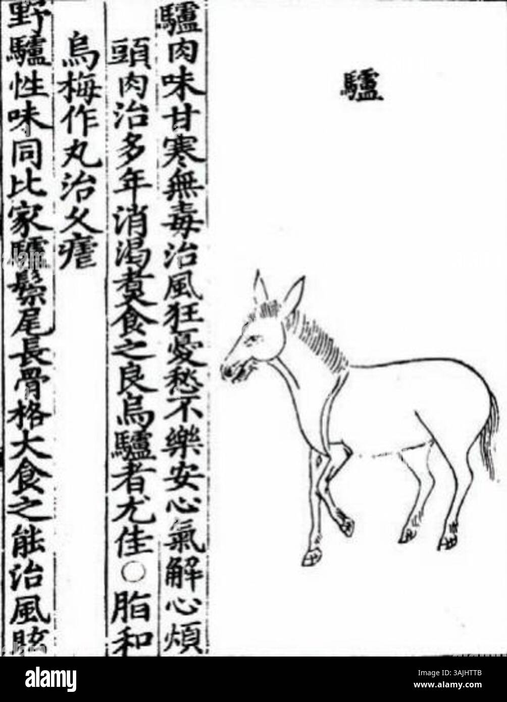 This 15th-century illustration from a manuscript depicts an animal and ...