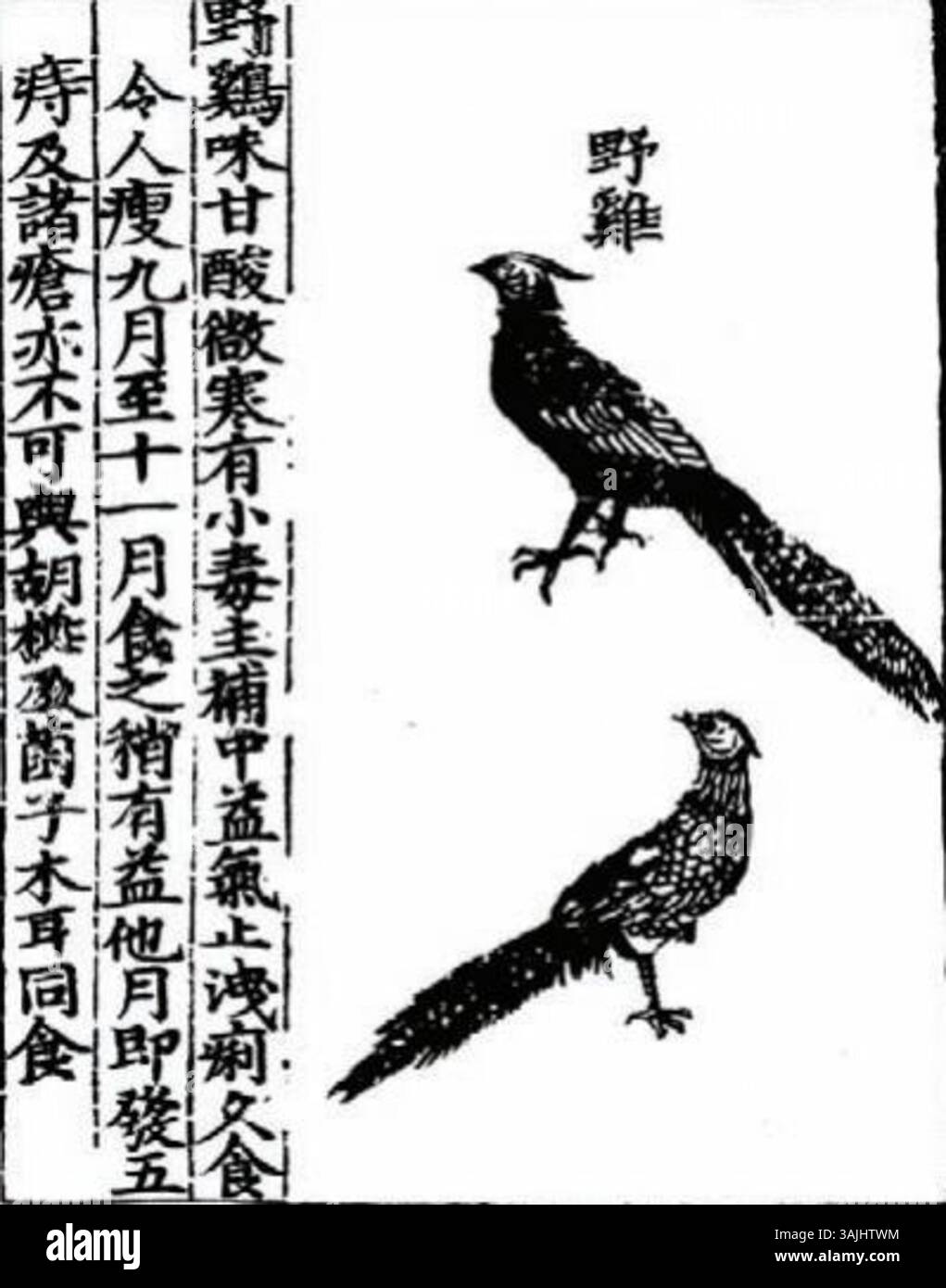 This 1456 illustration depicts an animal, highlighting its attributed ...