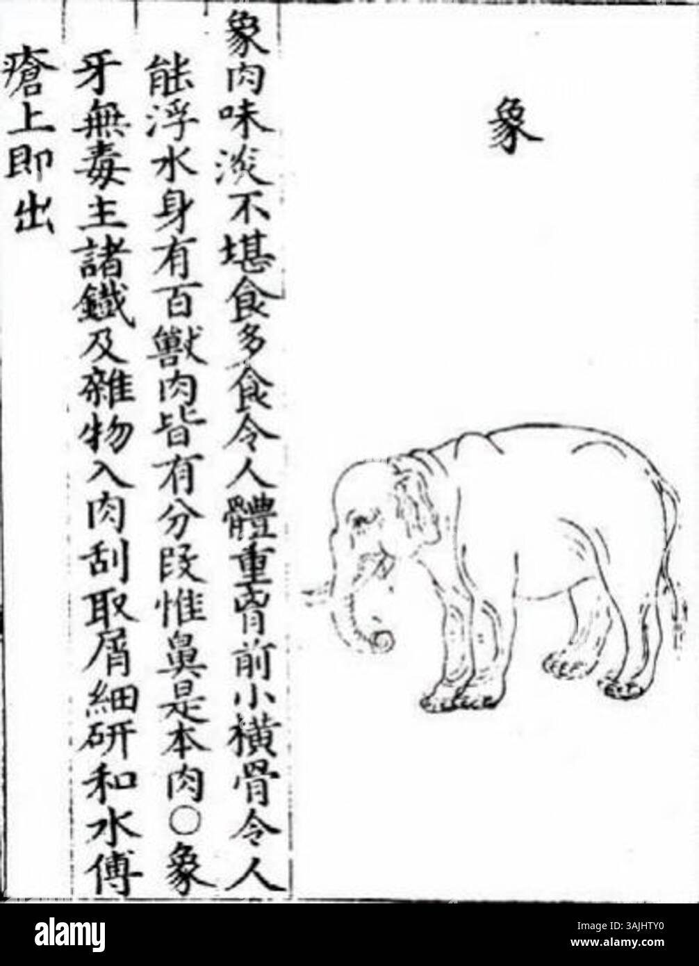 An animal is depicted in this 15th-century manuscript illustration ...