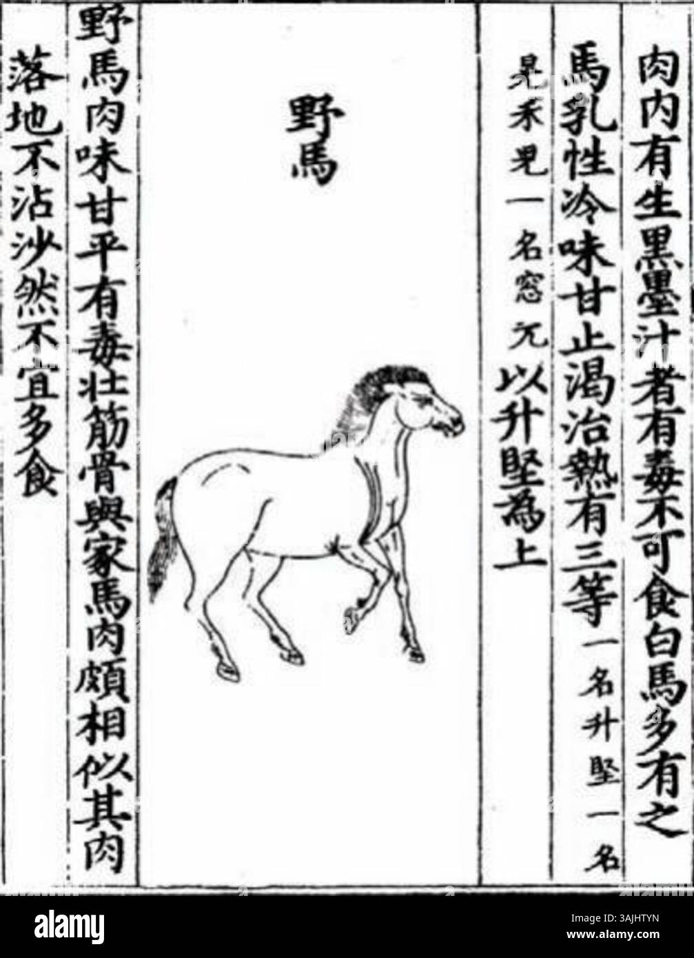 An illustration from a 15th-century manuscript showing an animal and ...