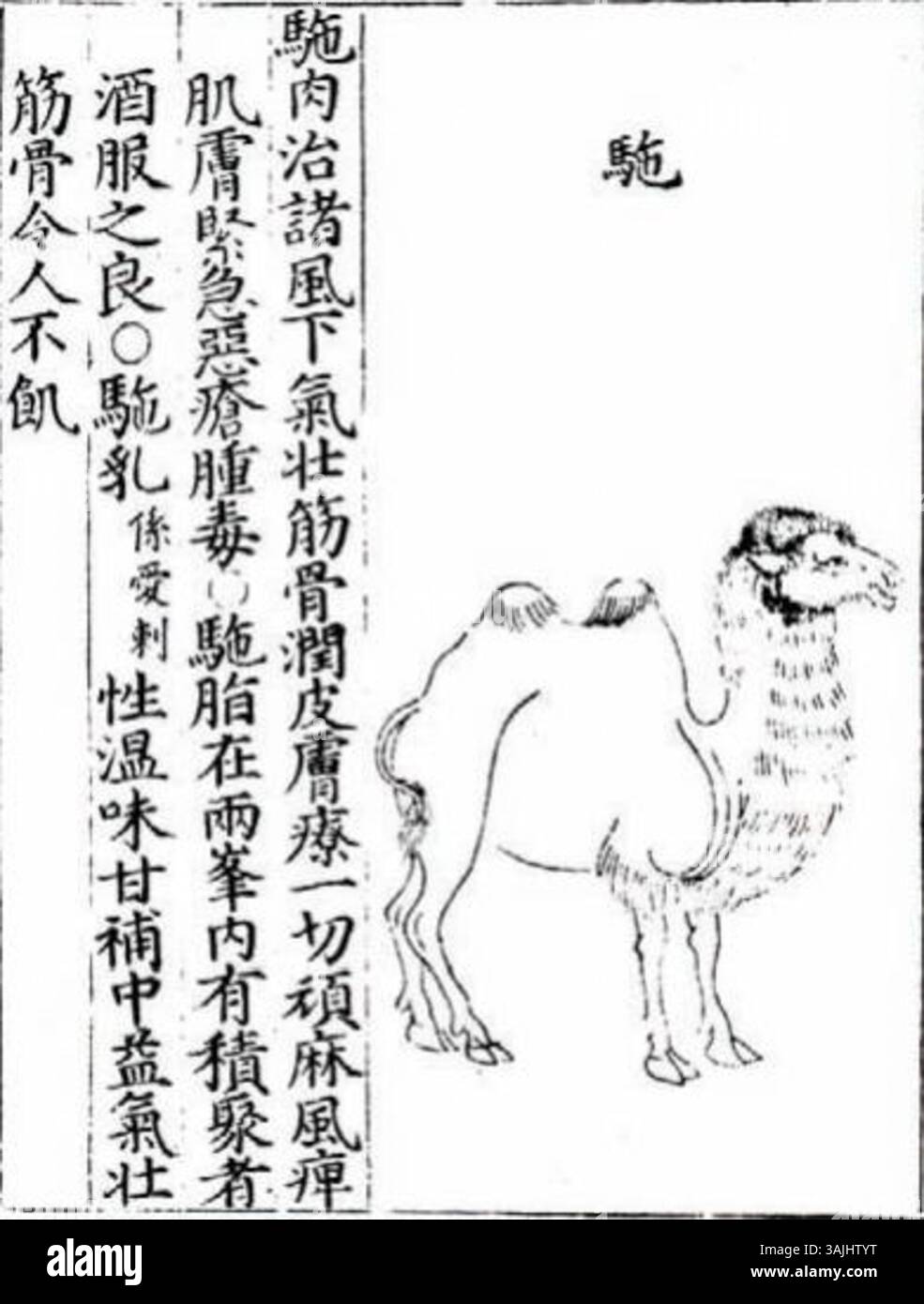 This illustration from a 15th-century manuscript presents an animal and ...