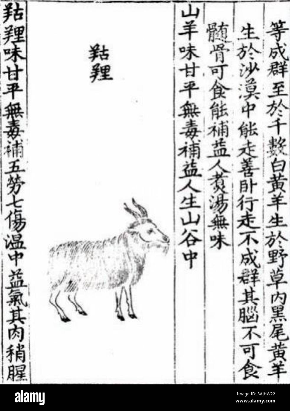 This 15th-century manuscript illustration depicts an animal and its ...