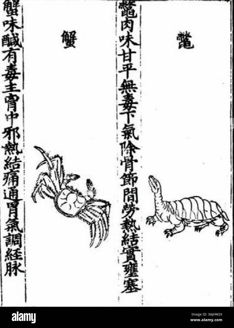 An illustration from a 15th-century manuscript featuring an animal and ...