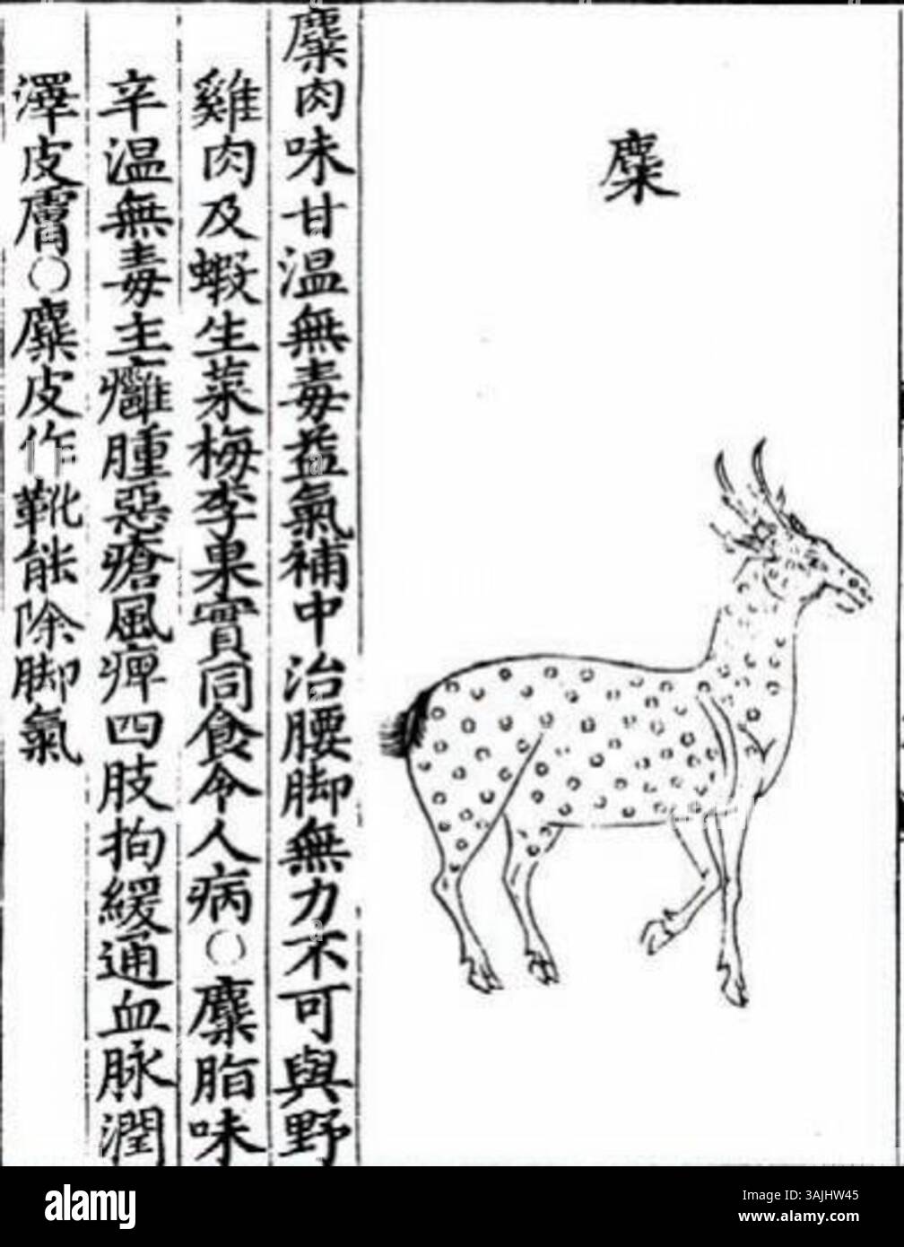 This 15th-century manuscript illustration features an animal and its ...