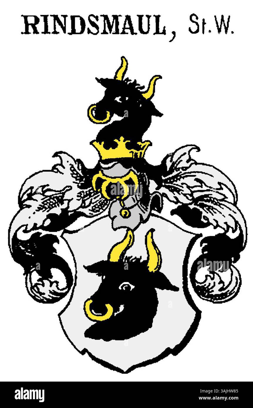 This 1899 colored print depicts the coat of arms of the Rindsmaul ...