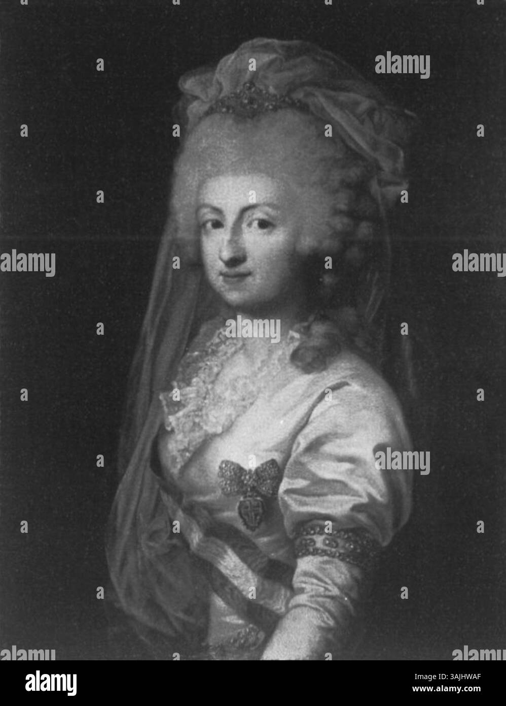 This portrait by Anton Graff depicts Carolina of Parma, hereditary ...