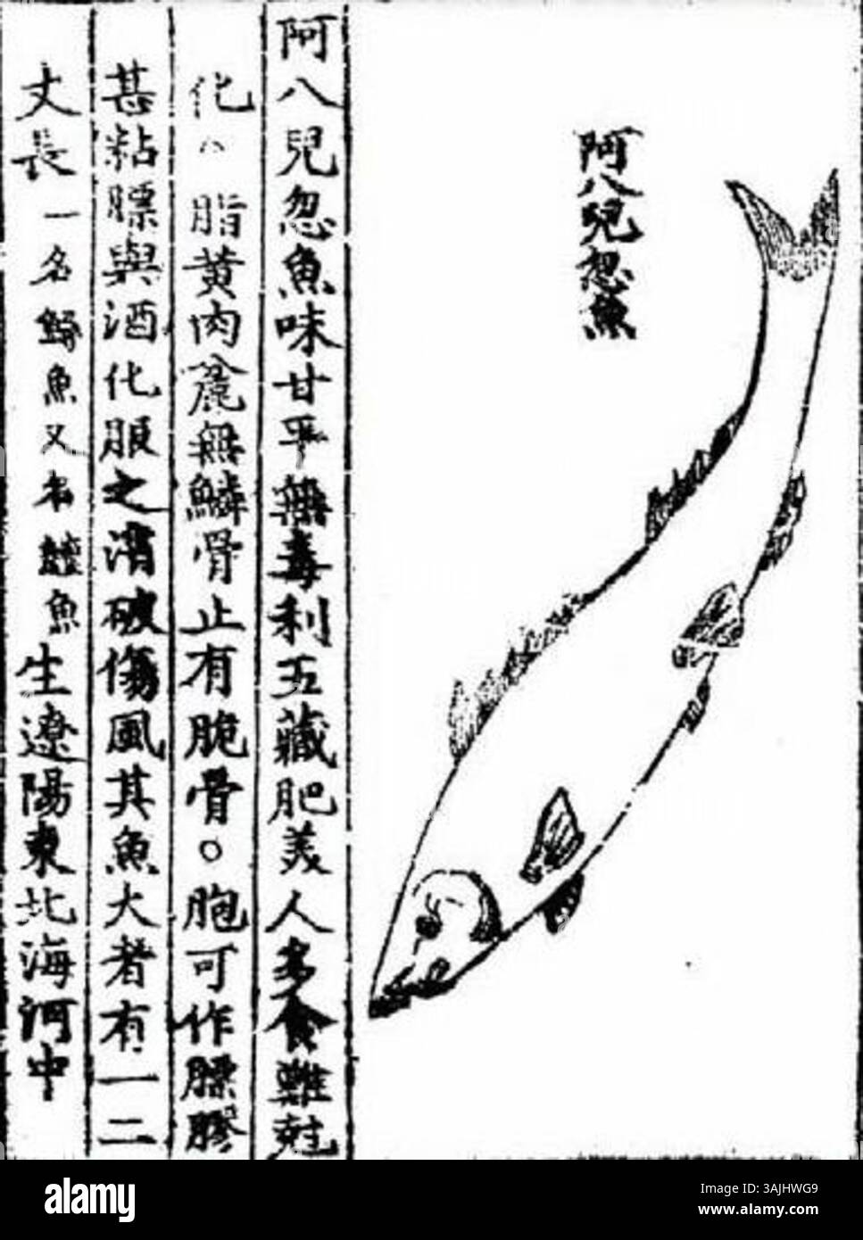 This 15th-century manuscript illustration shows an animal and its ...