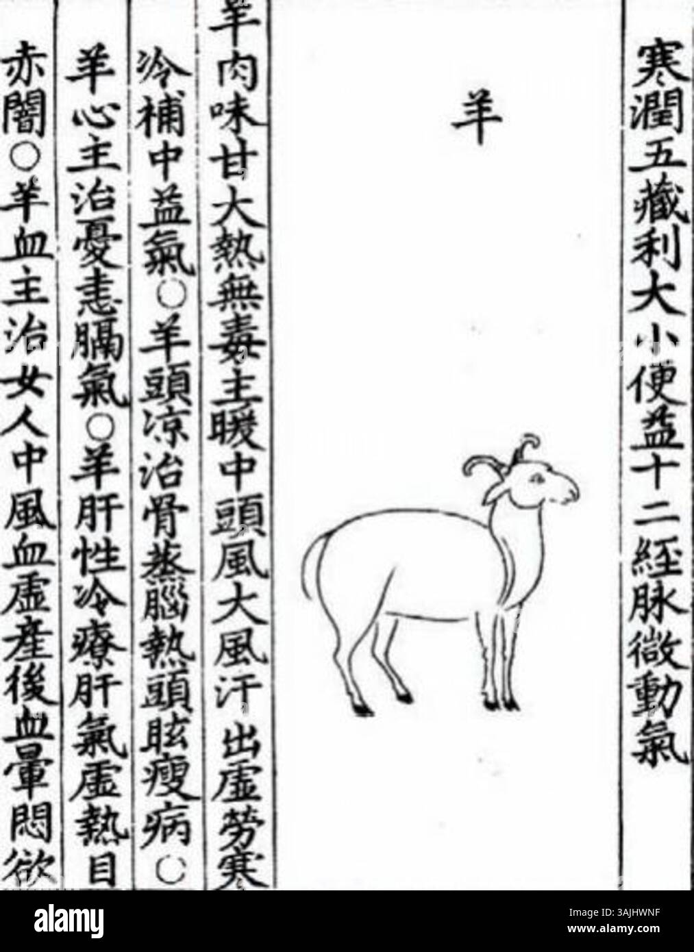 This 1456 illustration from the Chinese medical text *YSZY* showcases ...