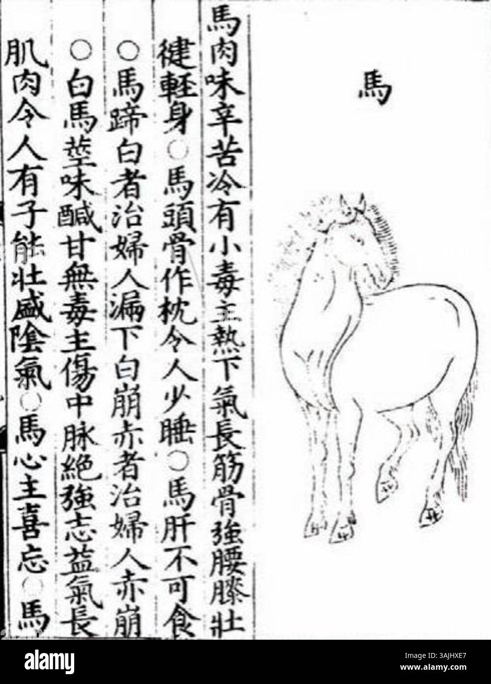 This illustration from a 15th-century manuscript showcases an animal ...