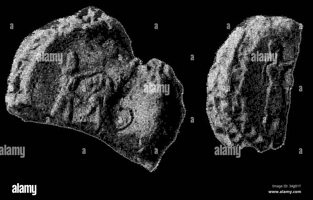 A 7th century BC seal impression from Nineveh showing a beardless ...