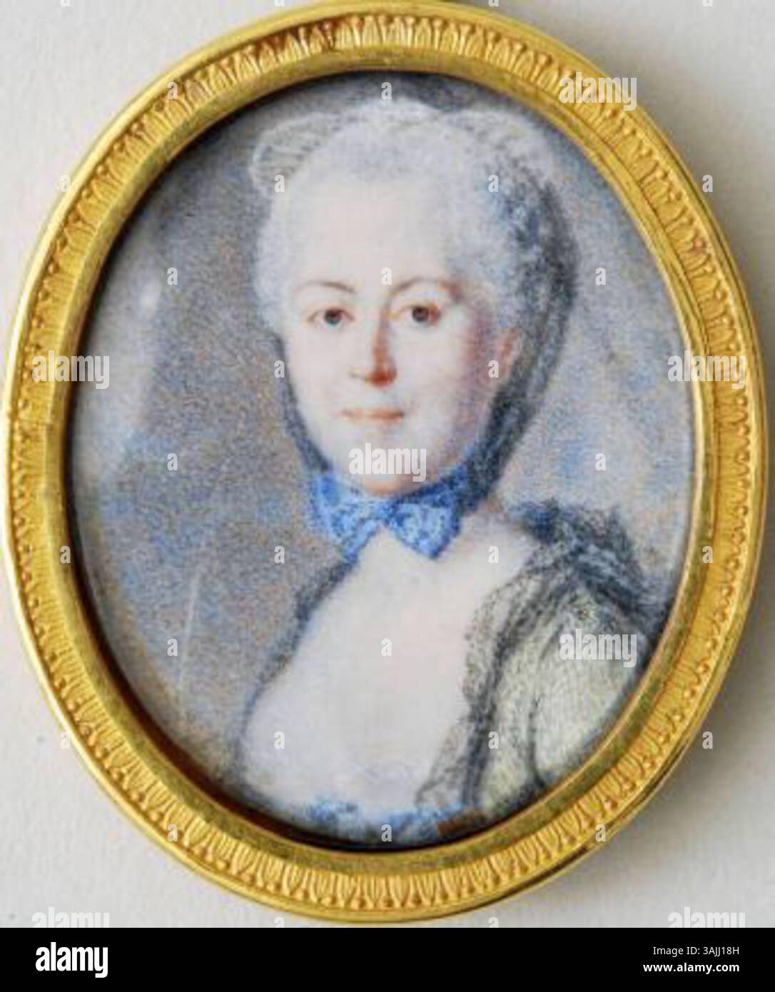 The portrait of Maria Antonia Walpurgis, created around 1774, depicts ...