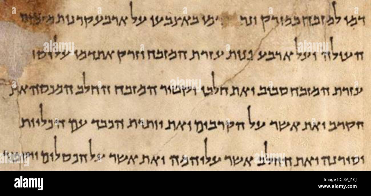 This cropped portion of the Temple Scroll, dated to the 2nd century BC ...