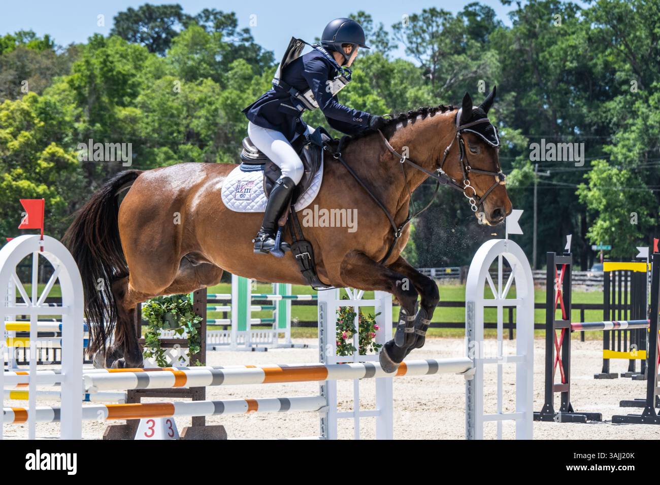 Maxine Preston with her horse jumping a fence at the Rocking Horse ...
