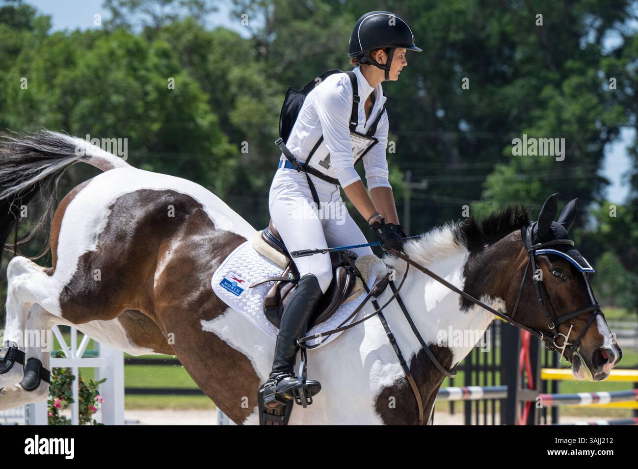 Lea Adams-Blackmore with her horse jumping a fence at the Rocking Horse ...