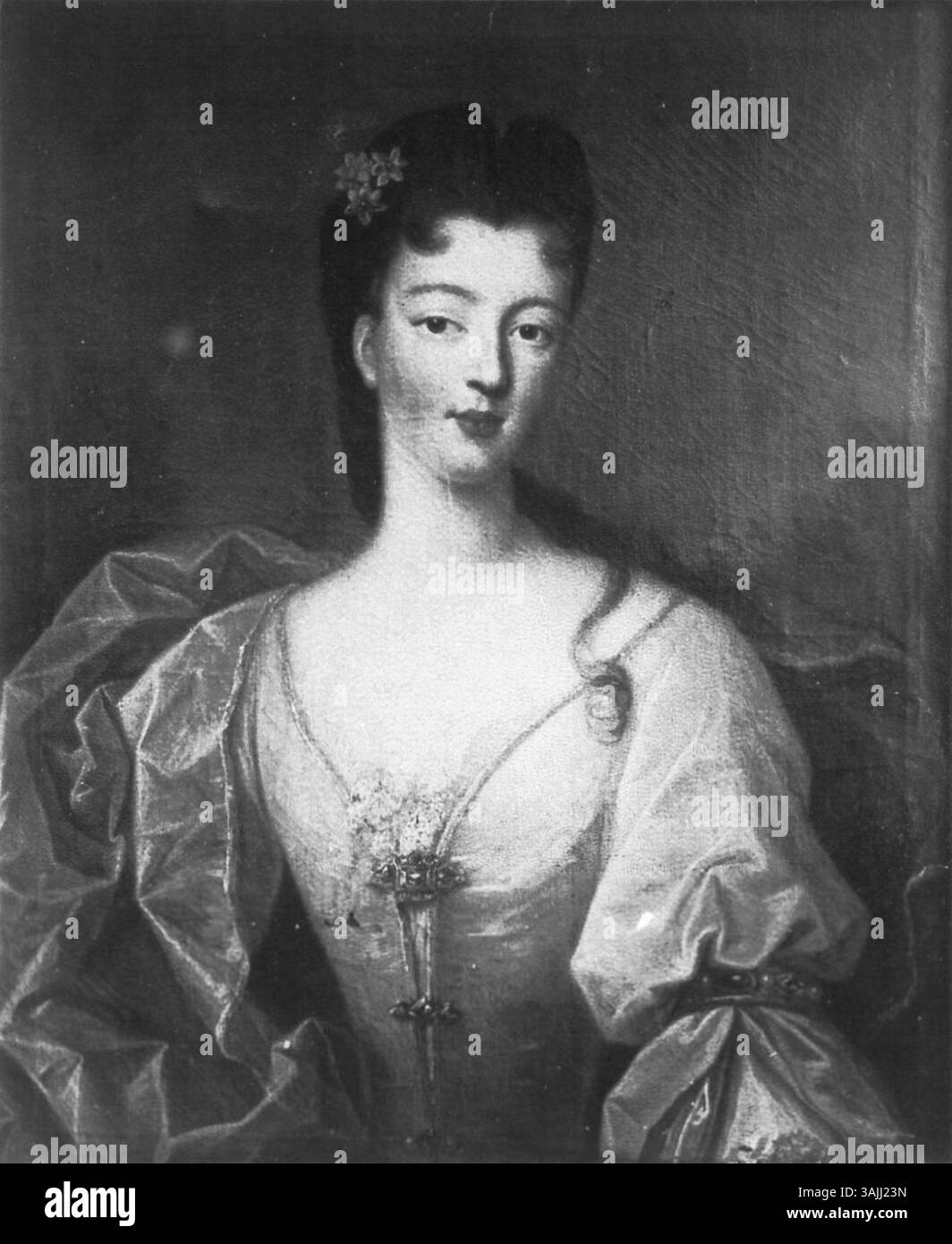 *The Princess of Conti* by Antoine Pesne is a portrait of Louise ...