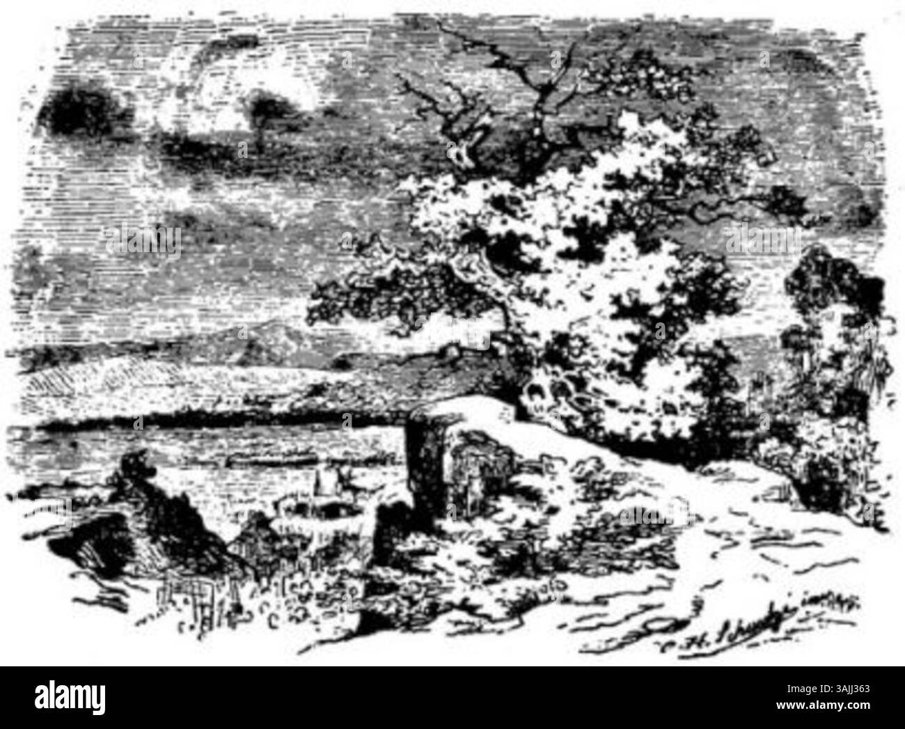 European society study Cut Out Stock Images & Pictures - Alamy