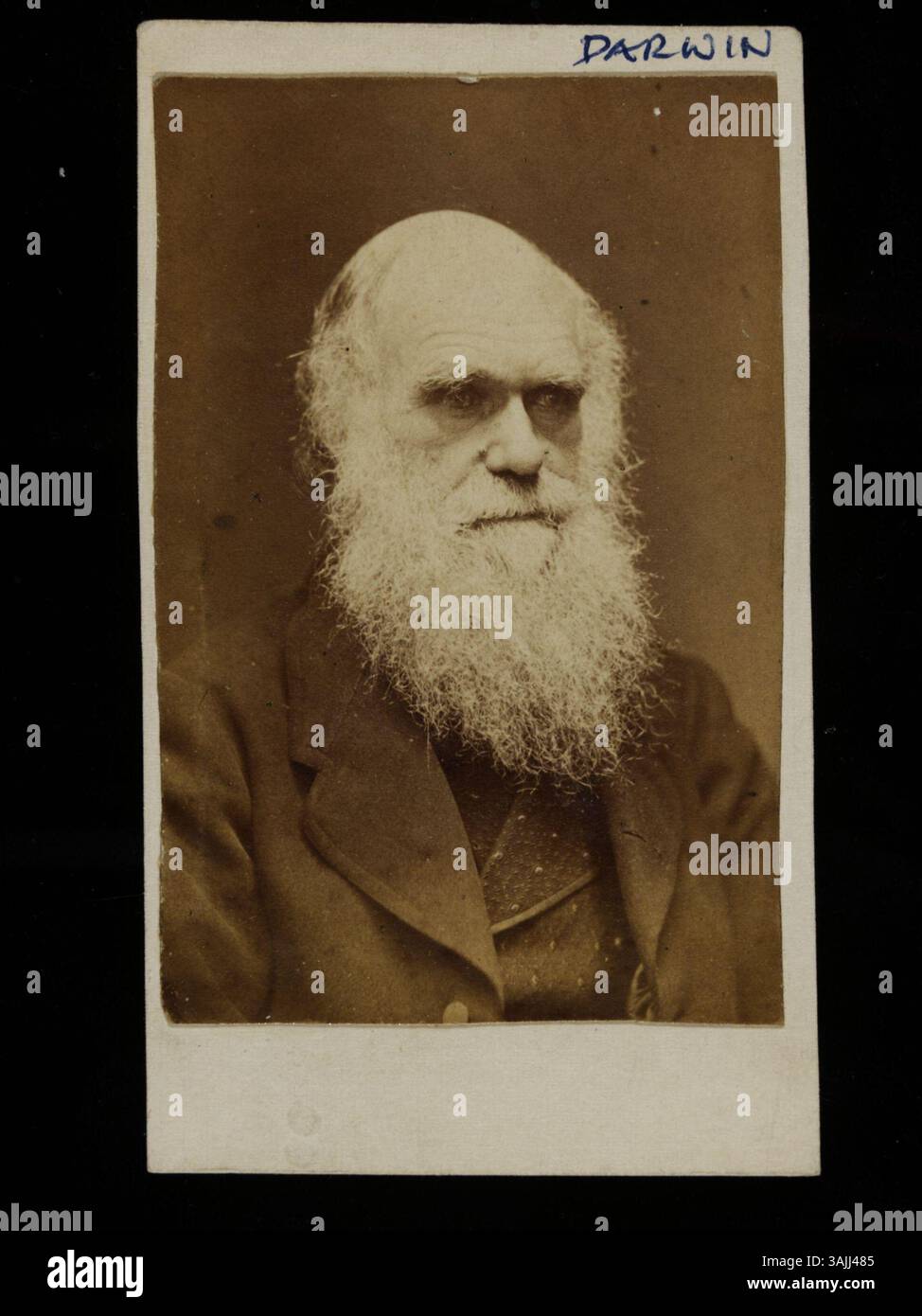 This photograph of Charles Darwin was taken by the studio of Elliott ...