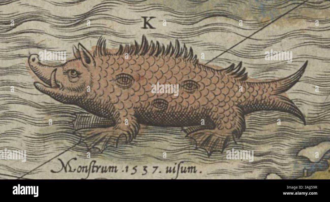 The 'Porcus Marinus' illustration from Olaus Magnus’ 'Carta Marina ...