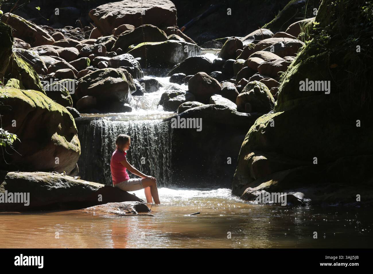 Parque nacional calilegua, jujuy hi-res stock photography and images ...