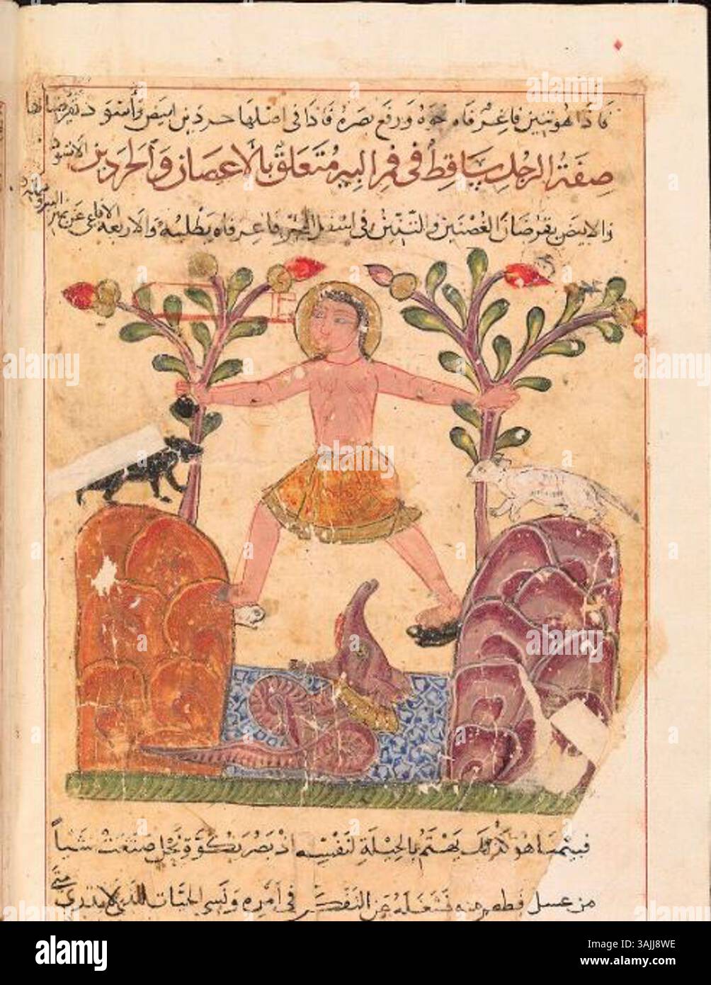 Arabic fables hi-res stock photography and images - Alamy