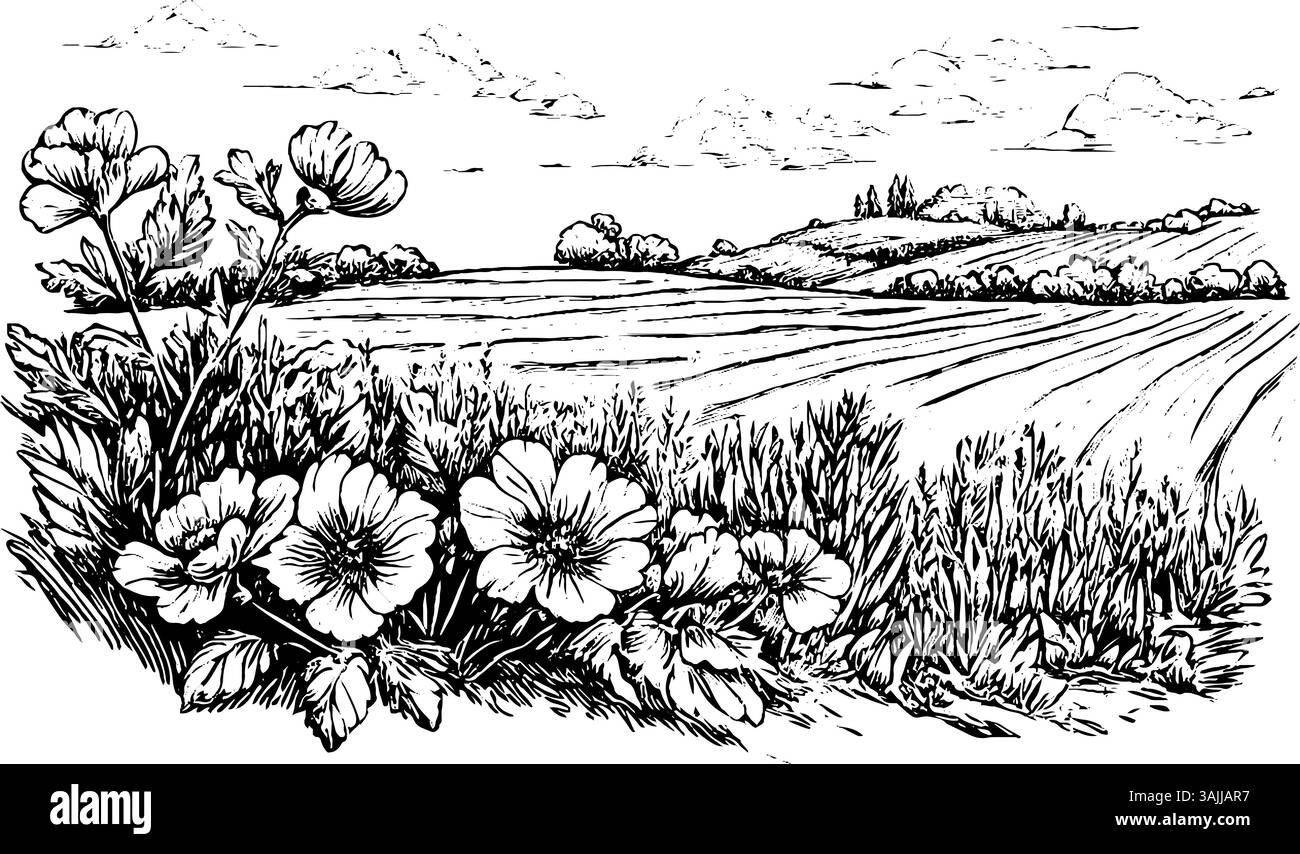 Scene in the black hills Cut Out Stock Images & Pictures - Alamy