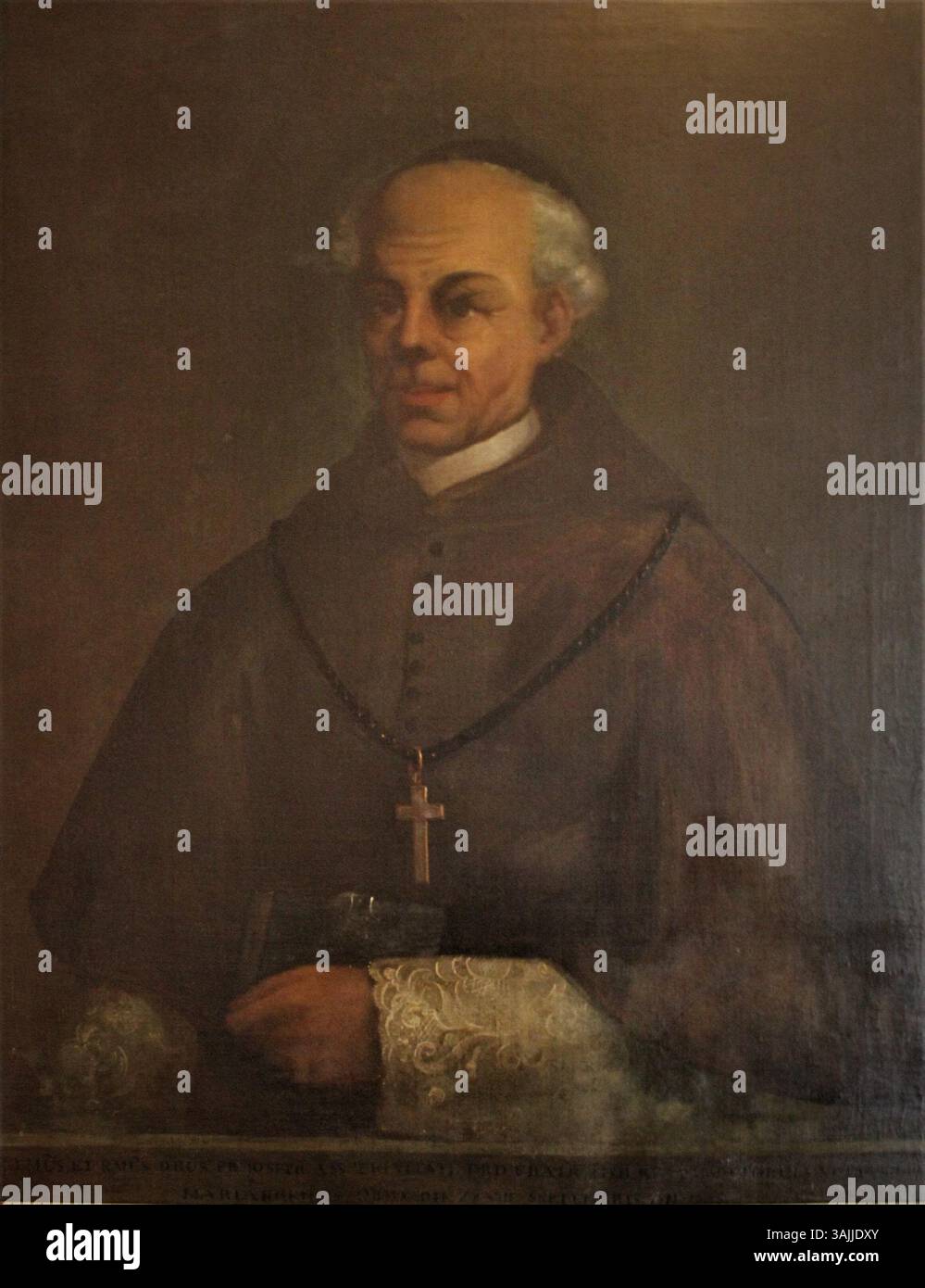 José da Santíssima Trindade, OFM, served as the Bishop of Mariana from ...