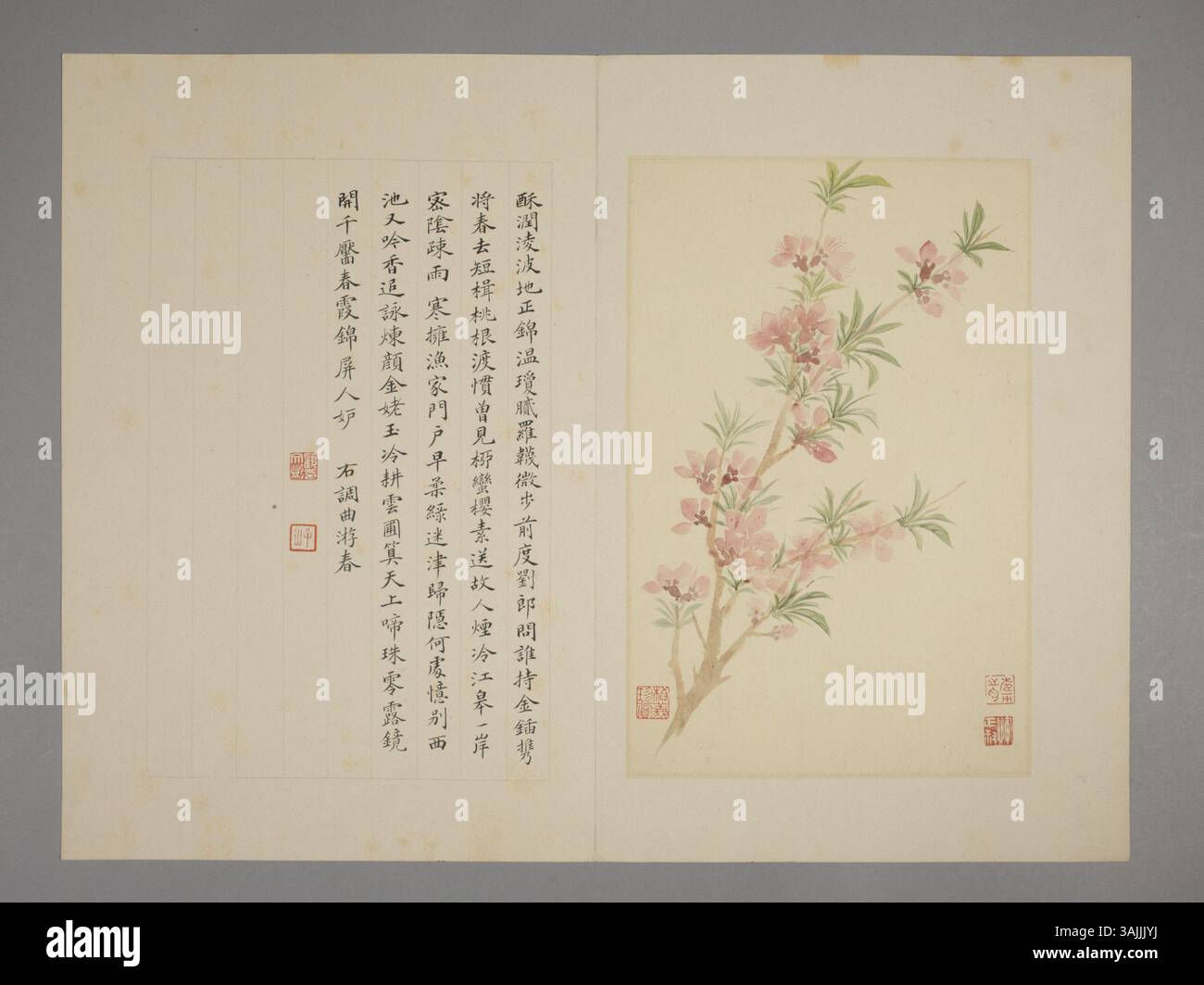 This work by Yun Shouping from 1633 to 1690 in The Palace Museum ...