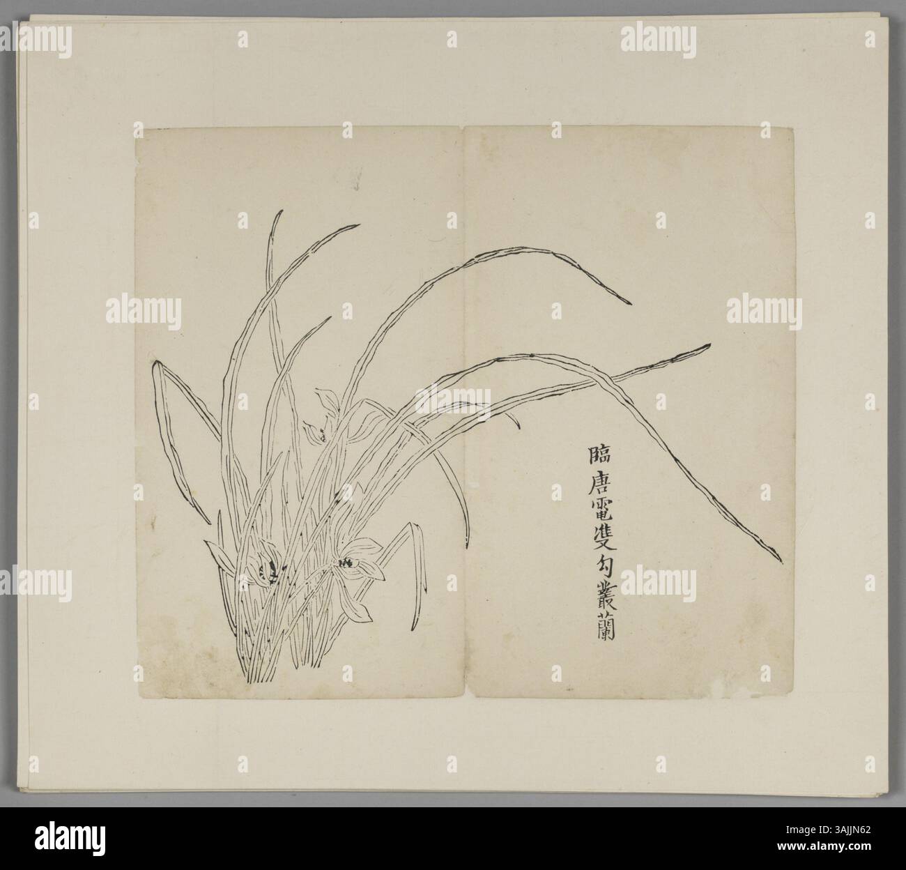 An individual copy of a Chinese print housed in The Palace Museum ...