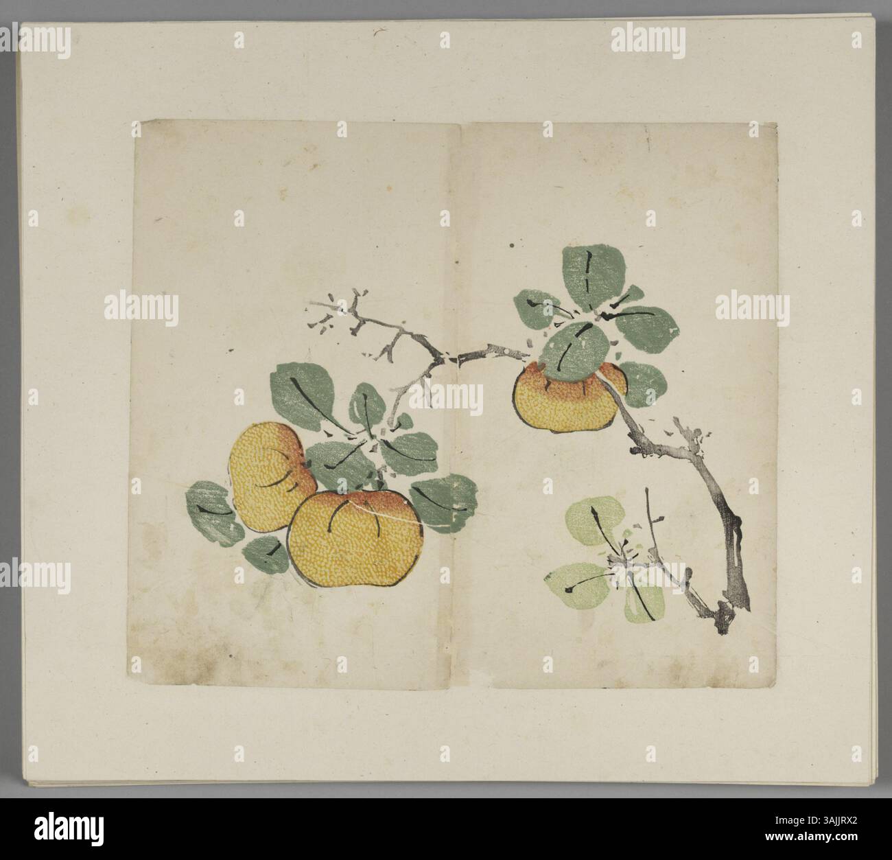 This individual copy of a Chinese print in The Palace Museum showcases ...