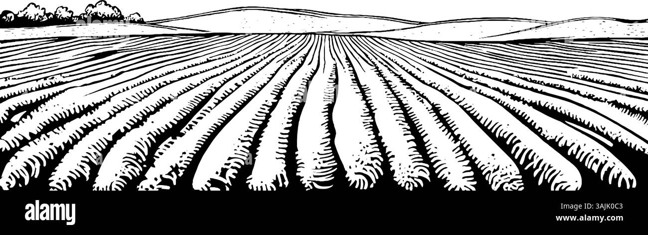 A black and white illustration of a plowed field with furrows, rolling ...