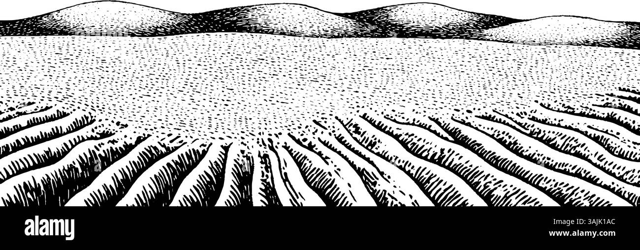 Parallel lines in nature Stock Vector Images - Alamy