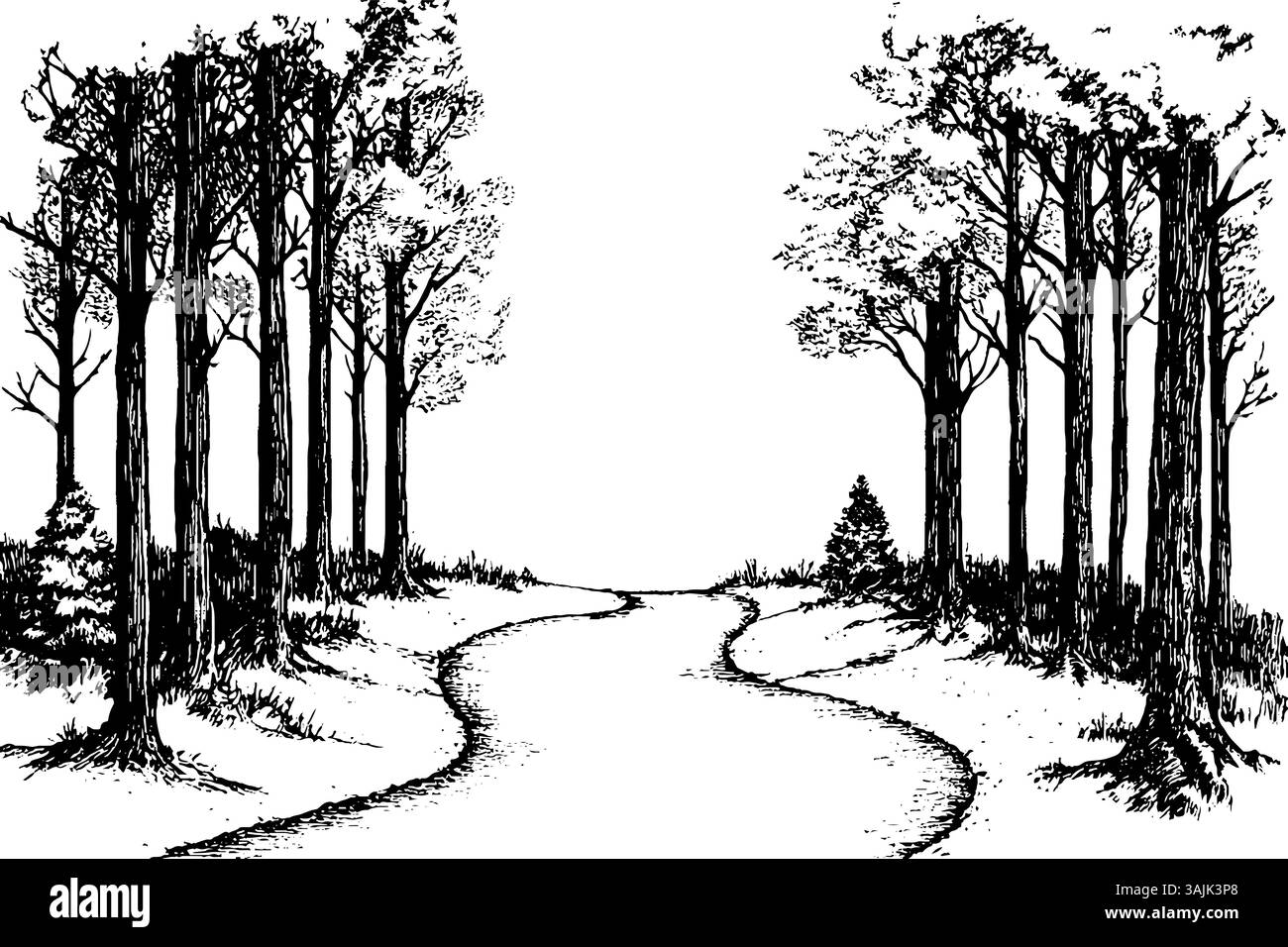 Tallest path Stock Vector Images - Alamy