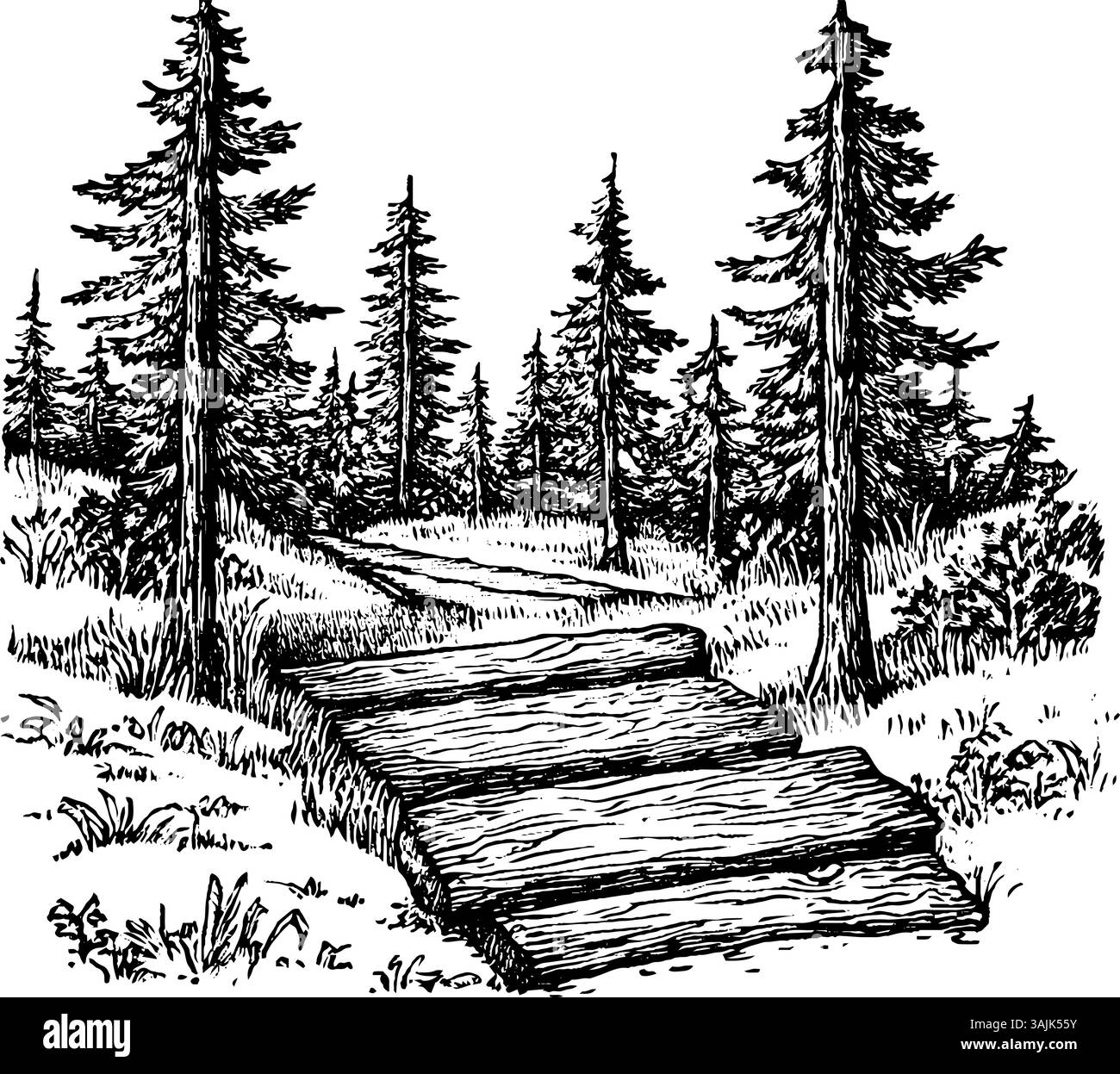 A hand-drawn illustration of a forest path with wooden logs as stepping ...
