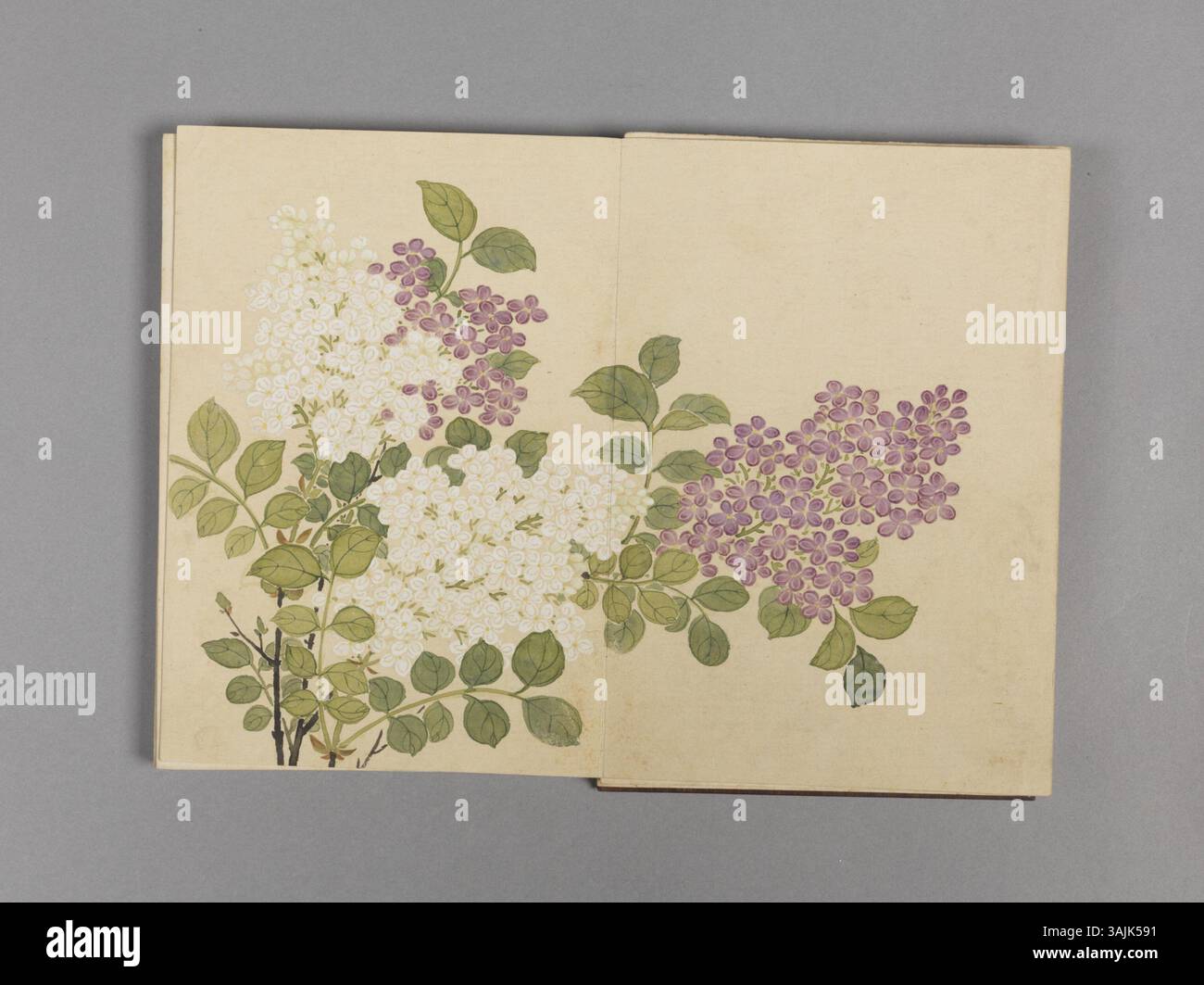 A Chinese painting by Dong Gao (1740–1818), housed in The Palace Museum ...