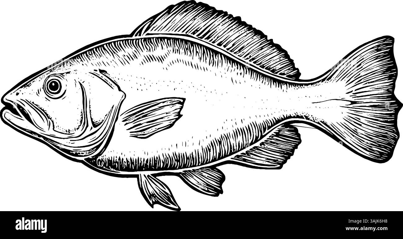 A detailed illustration of a fish, showcasing its fins, scales, and ...