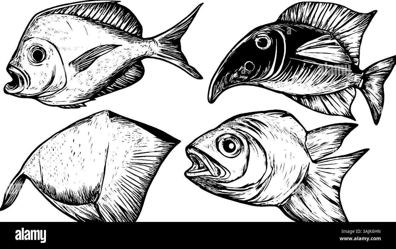 A detailed illustration of four different fish species, showcasing ...
