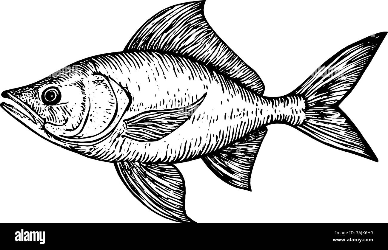 A detailed illustration of a fish, showcasing its fins, scales, and ...