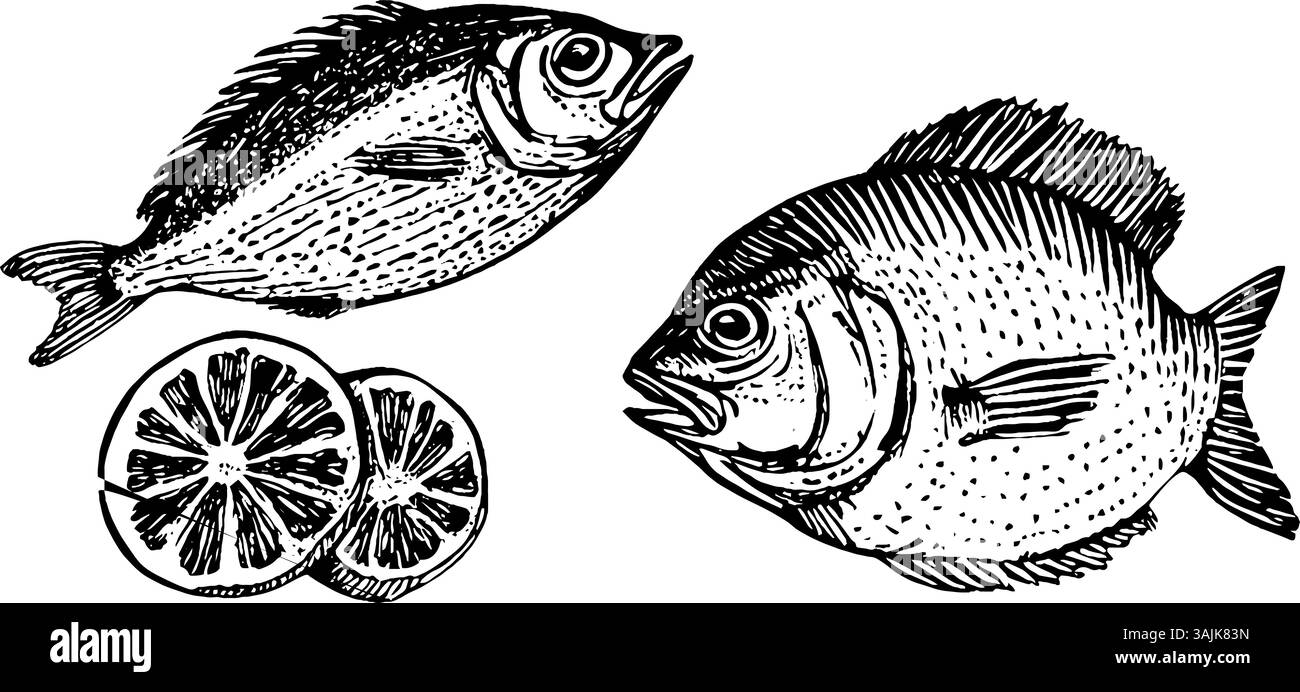 Illustration of two fish, one on its side and one upright, accompanied ...