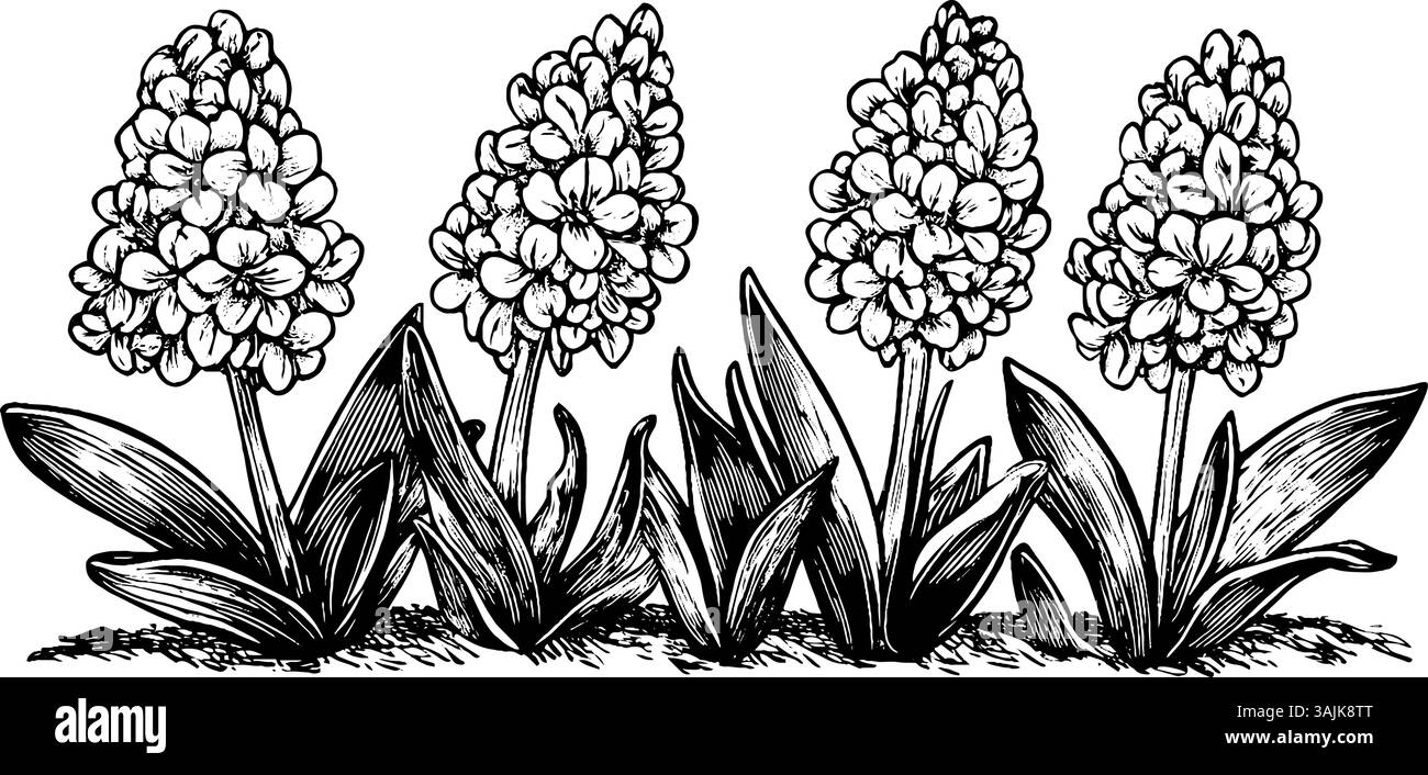 Tall clusters Black and White Stock Photos & Images - Alamy