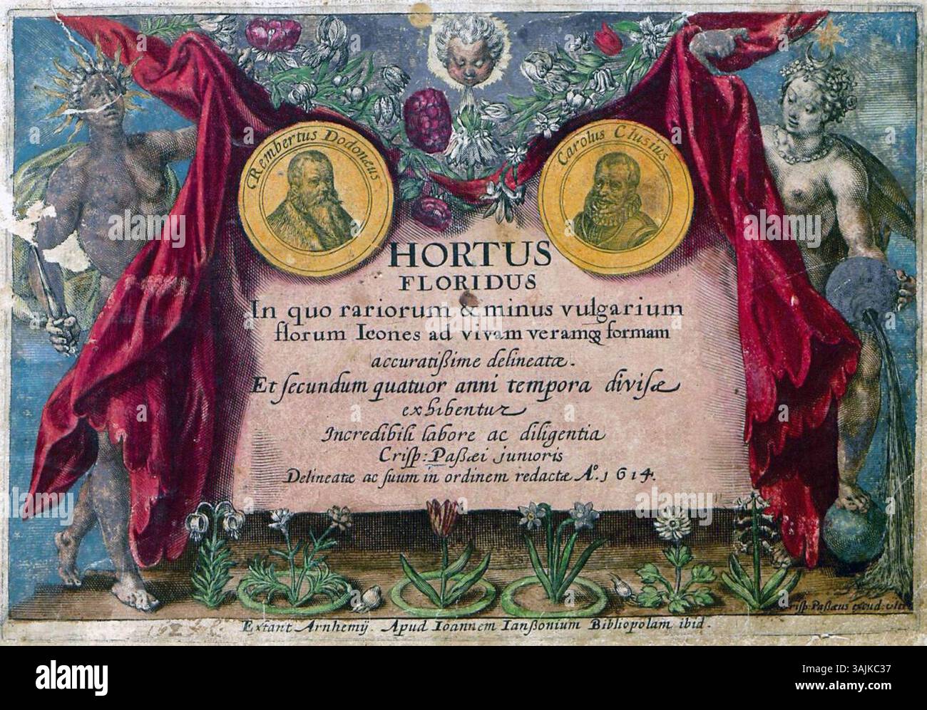 The title page of the 'Hortus floridus' by Crispijn van de Passe the ...